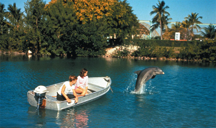 Delfín Flip / Flipper (TV seriál) (1995) | ČSFD.cz