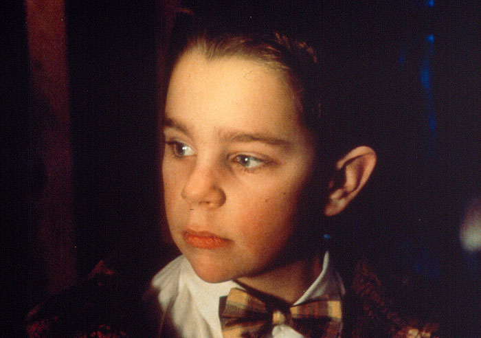 Můj život jako pes / Mitt liv som hund (1985) | ČSFD.cz