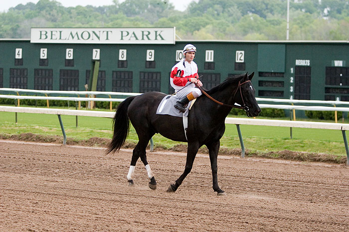 Ruffian (TV film) (2007) | ČSFD.cz