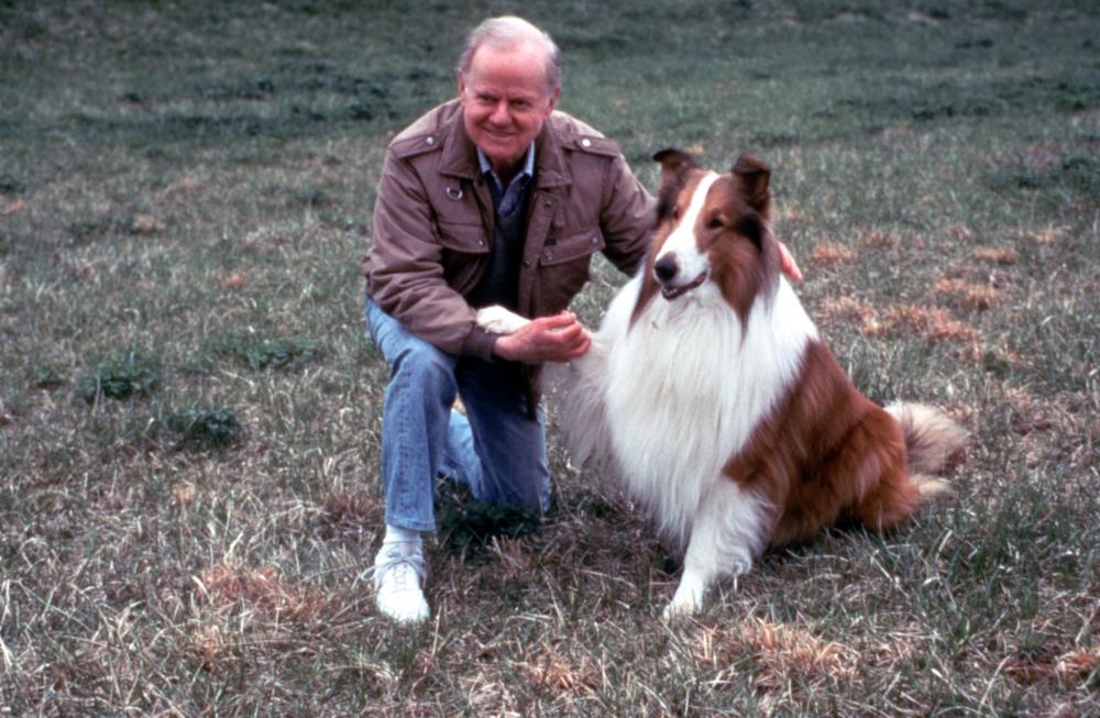 Lassie (1994) | ČSFD.cz