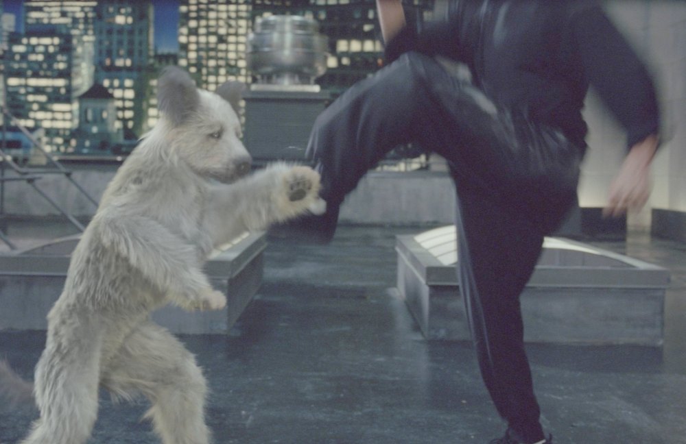 Karate Dog / The Karate Dog (TV film) (2005) | ČSFD.cz